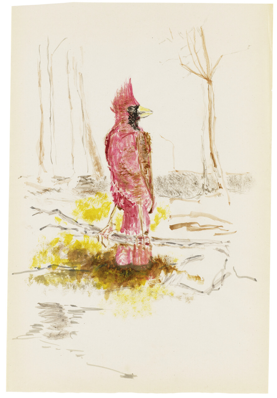 Mayo Thompson: ? – My Art Guides