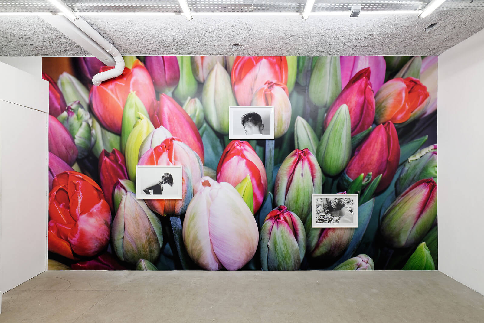 Walter Pfeiffer: Send me no Flowers | My Art Guides