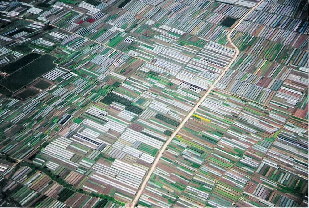 Tim Yip: Reformation | My Art Guides