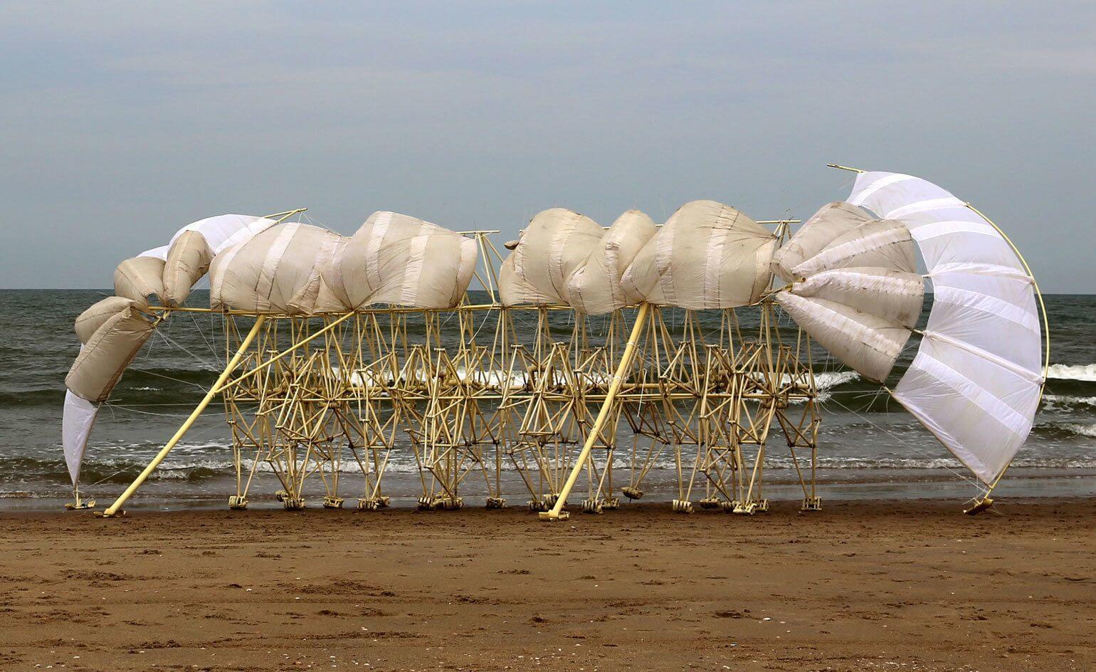 The Age of Strandbeests: an Interview with Theo Jansen | My Art Guides