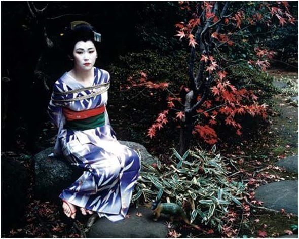 Nobuyoshi Araki / Hiroshi Sugimoto | My Art Guides
