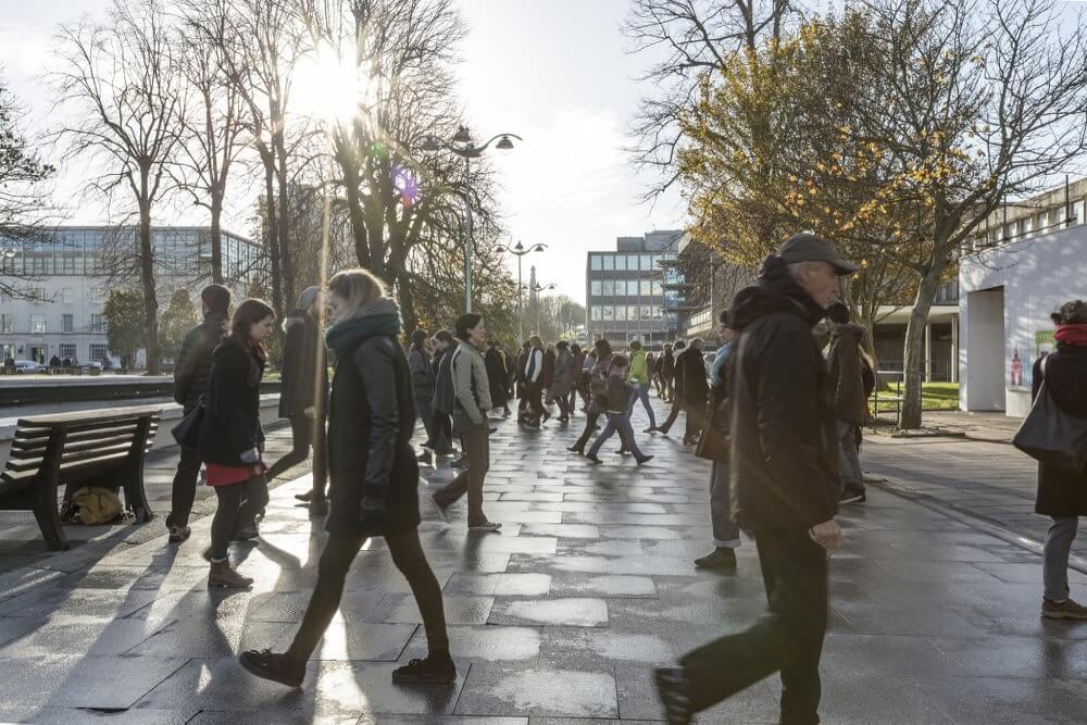 Hamish Fulton: Repetitive Walk – My Art Guides