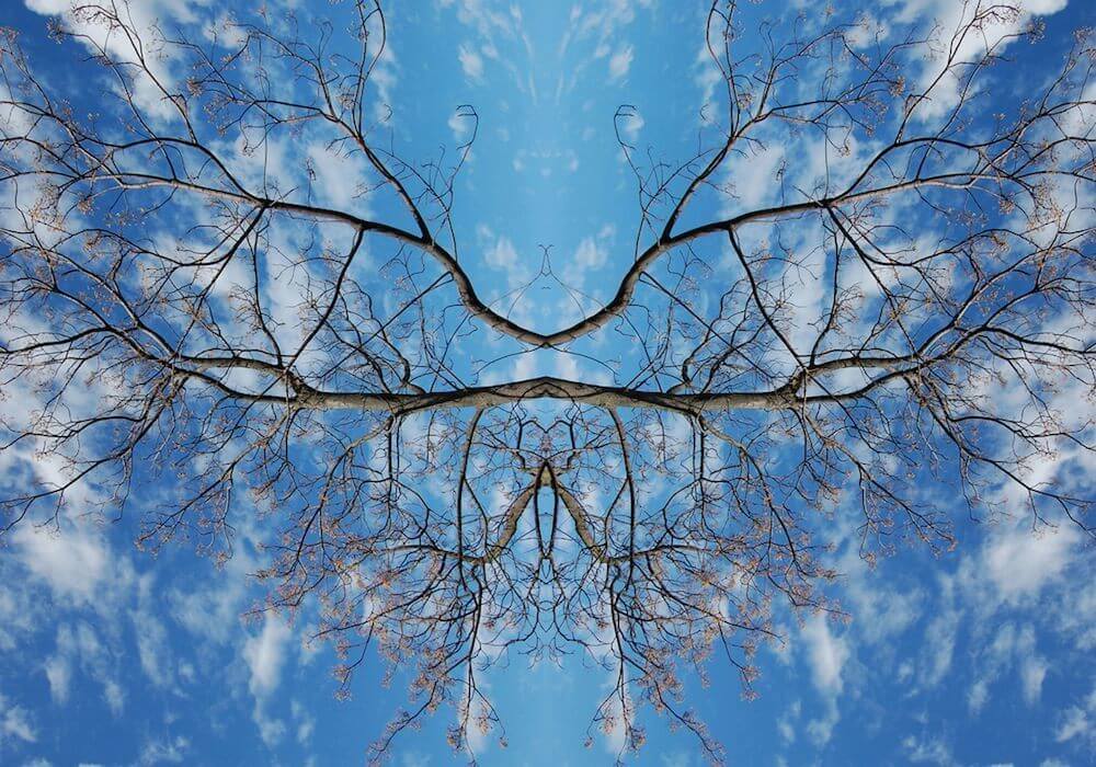 Journey Into Fragility | My Art Guides