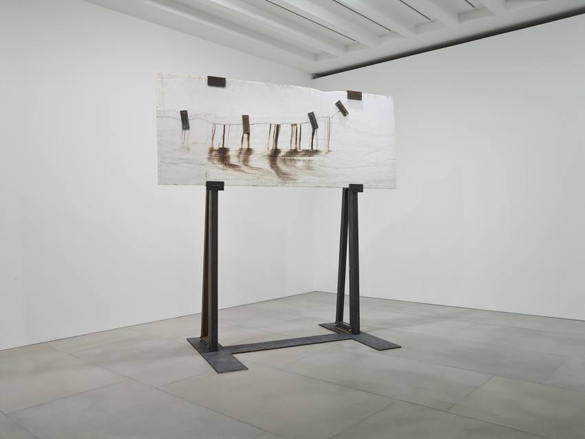 Michael Joo: Radiohalo | My Art Guides