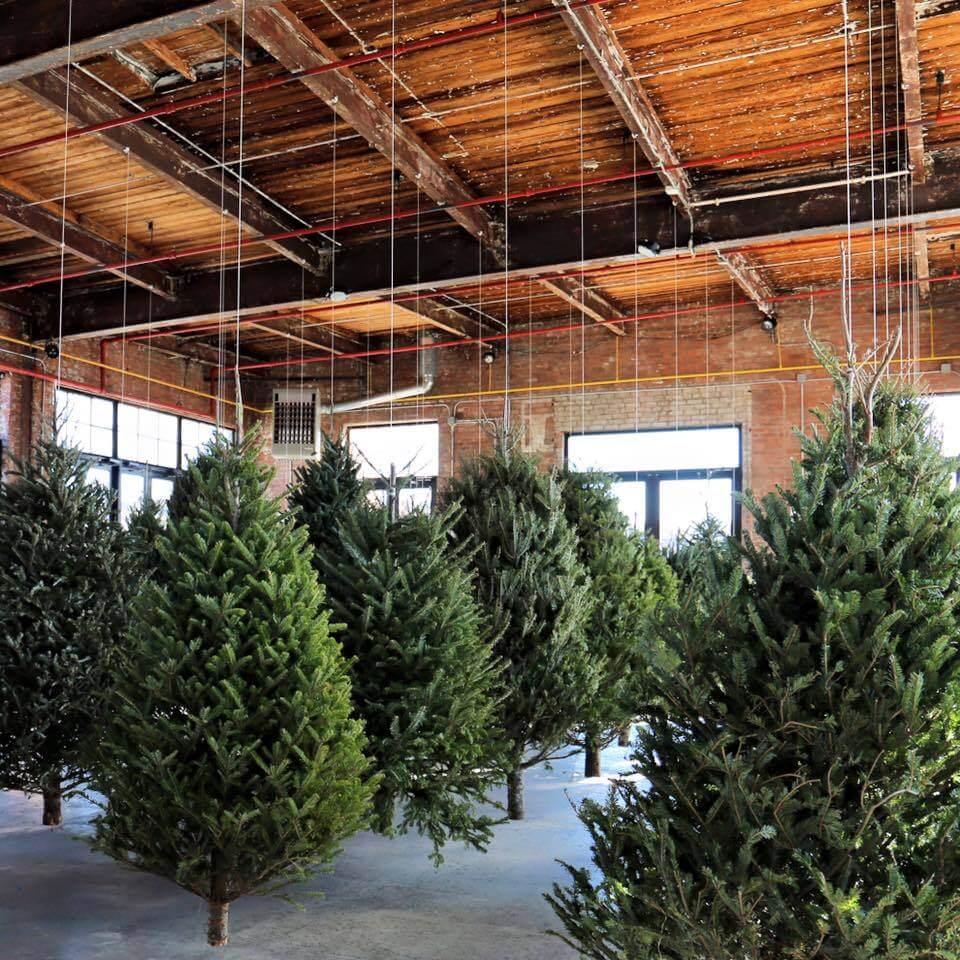 Suspended Forest at Knockdown Center | My Art Guides