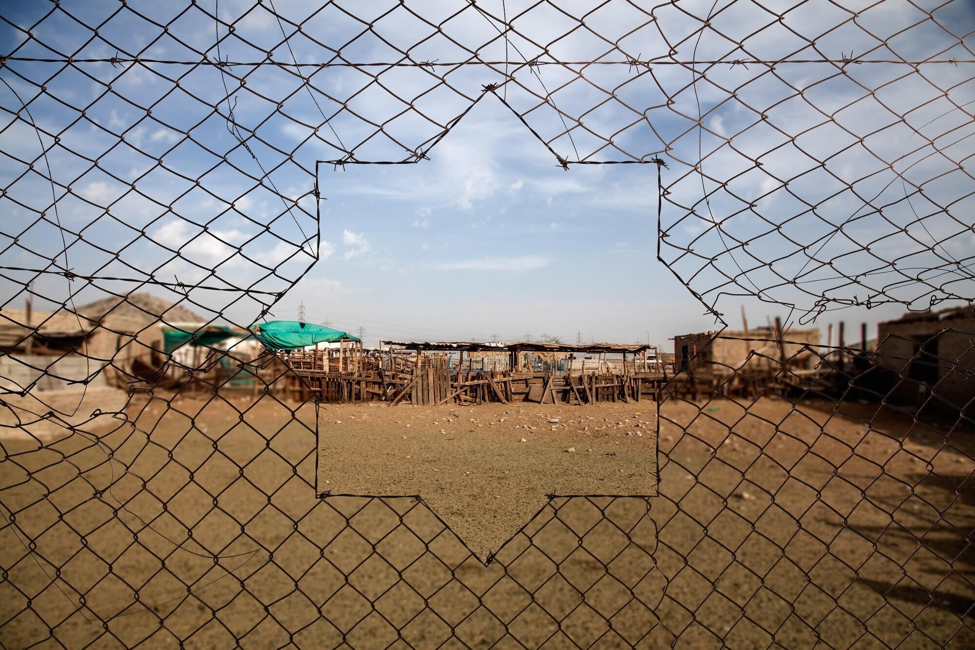 Rashed Al Shashai: Salvation – My Art Guides