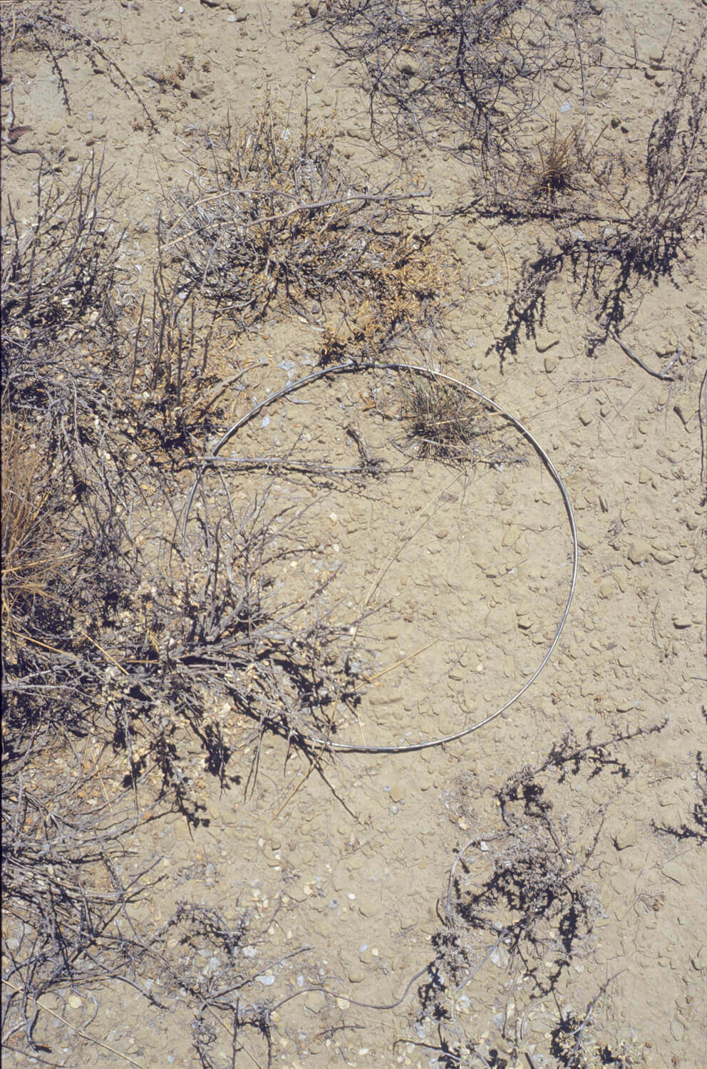 Zigzag Incisions – My Art Guides