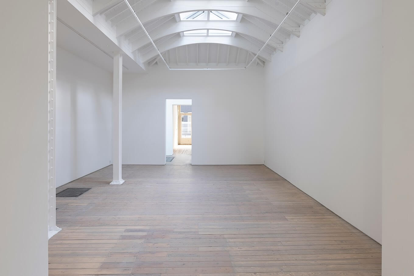 Edel Assanti – My Art Guides