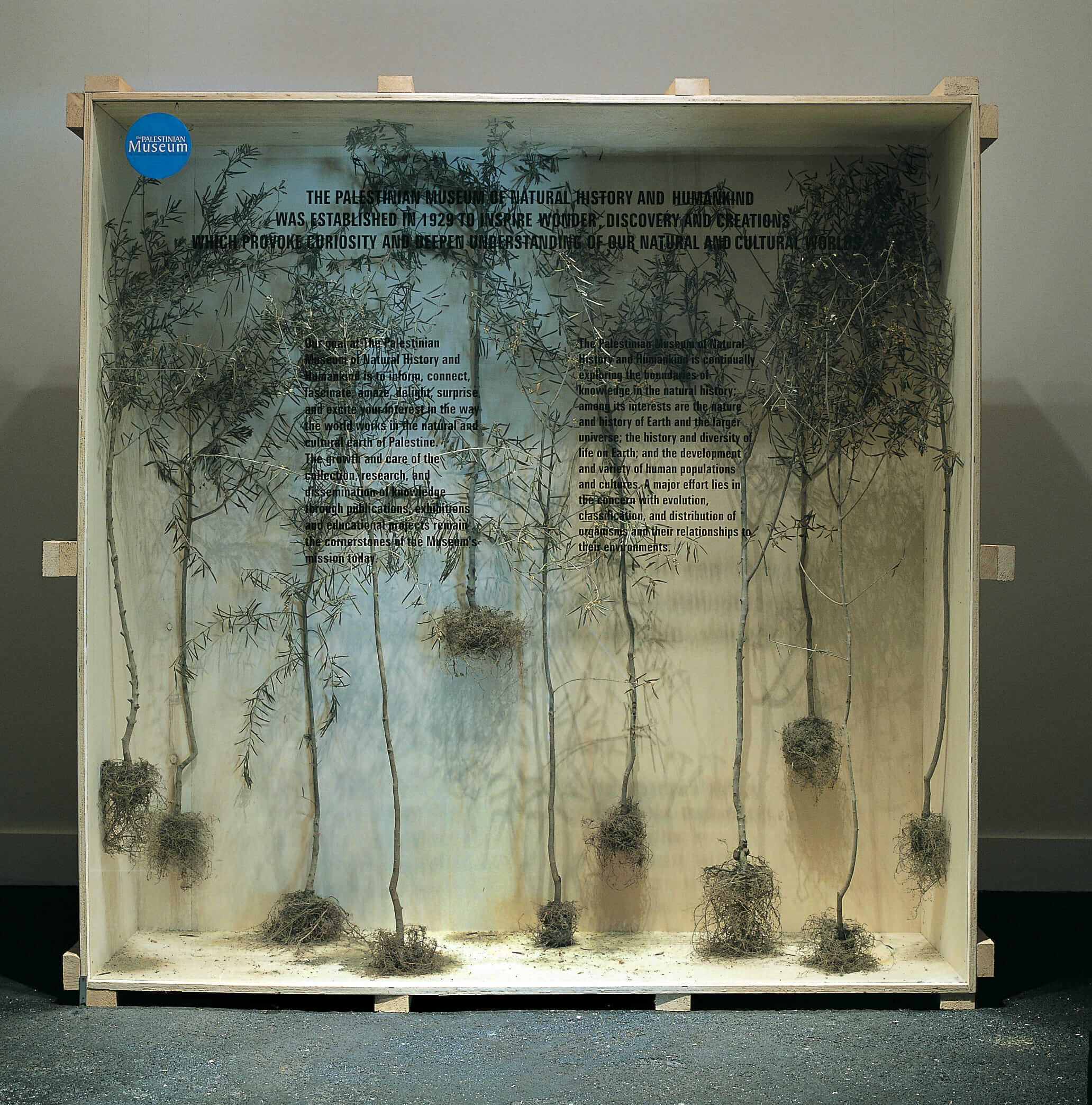 Khalil Rabah | What is not | Sharjah Art Foundation | Sharjah | UAE ...