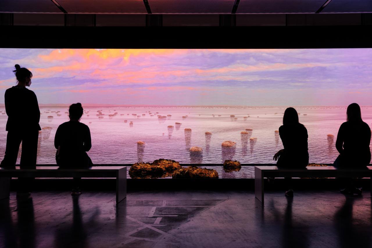 The Beauty of Early Life. Traces of Early Life – My Art Guides