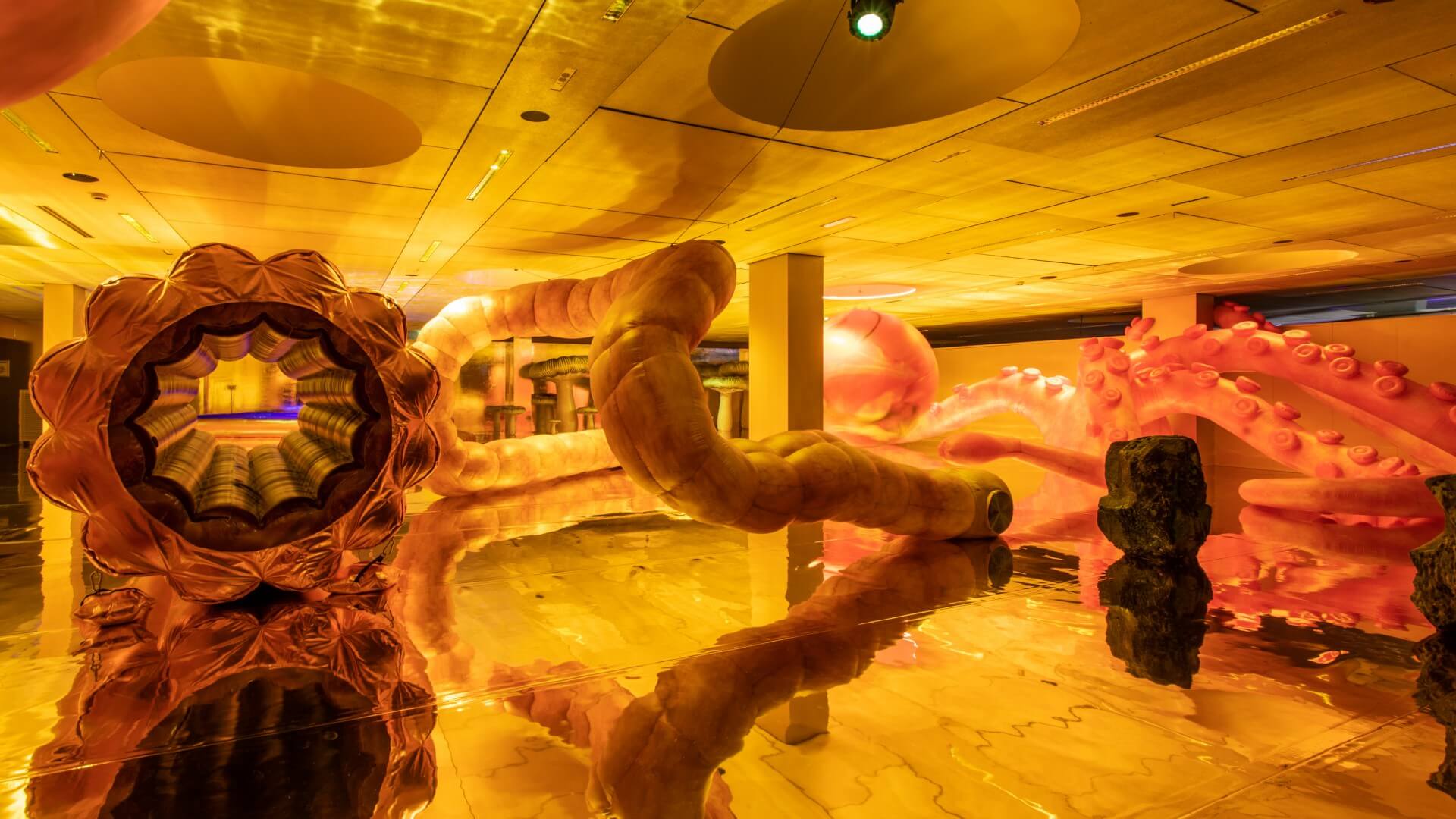 Nelly Ben Hayoun: Shiny Gold – My Art Guides