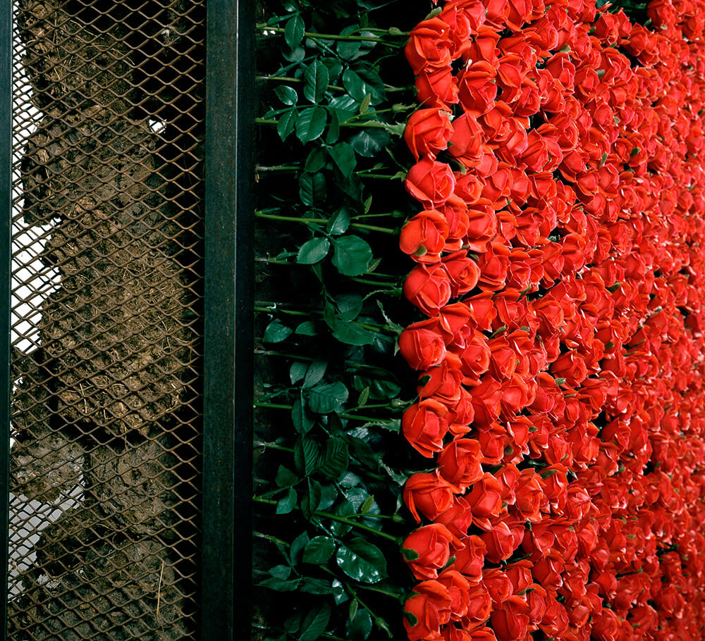 Chen Zhen: Double Exil - Galleria Continua | My Art Guides