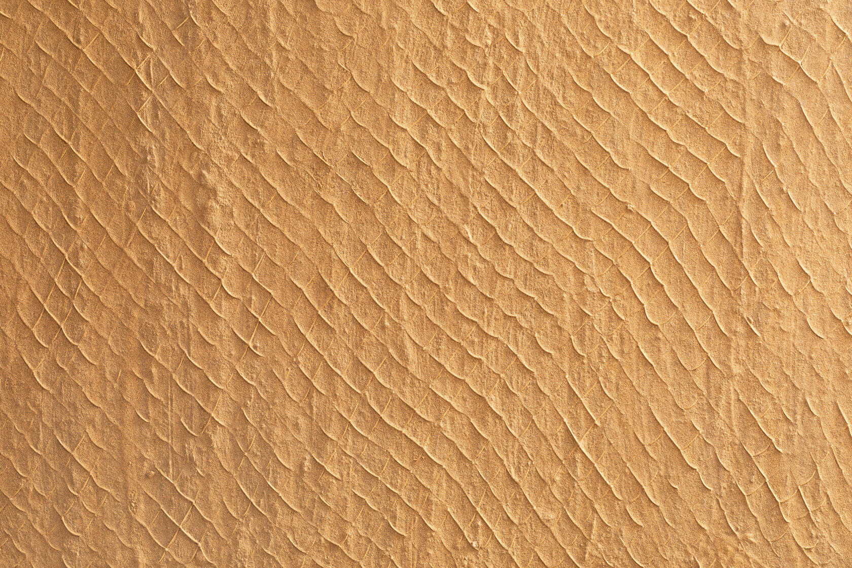 Ana Hernández: Ladi Beñe – My Art Guides